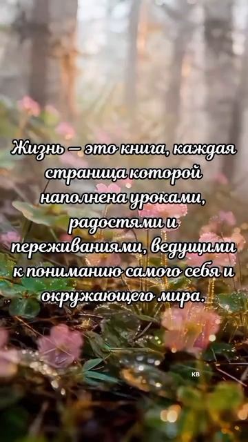 #katyboro #мысли #афоризмы #цитаты #рекомендации #топ #врек #реки