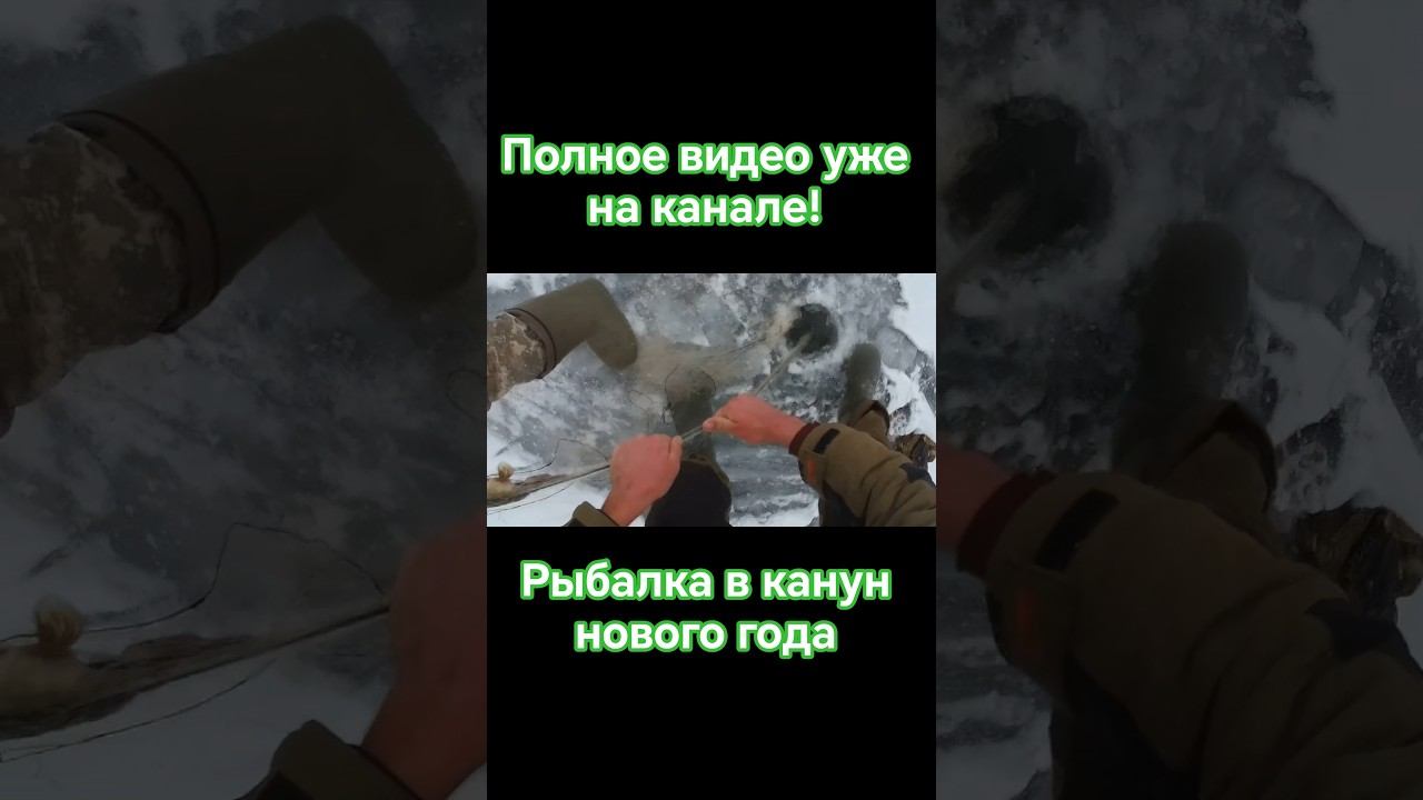 Последняя рыбалка 2025!