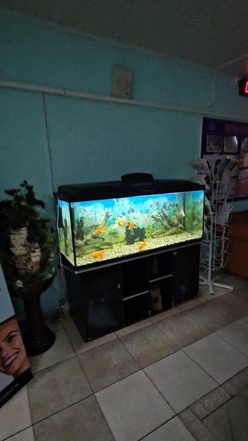 Аквариум в санатории"Приднепровский"