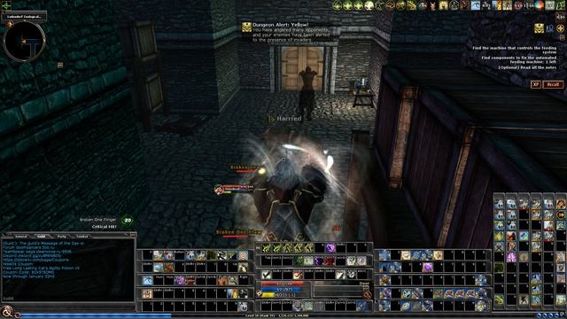 Dungeons & Dragons Online: R1 Solo - Zoo Creeper