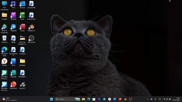 как создать загрузочную флешку с виндовс 11 24H2 редакция PRO