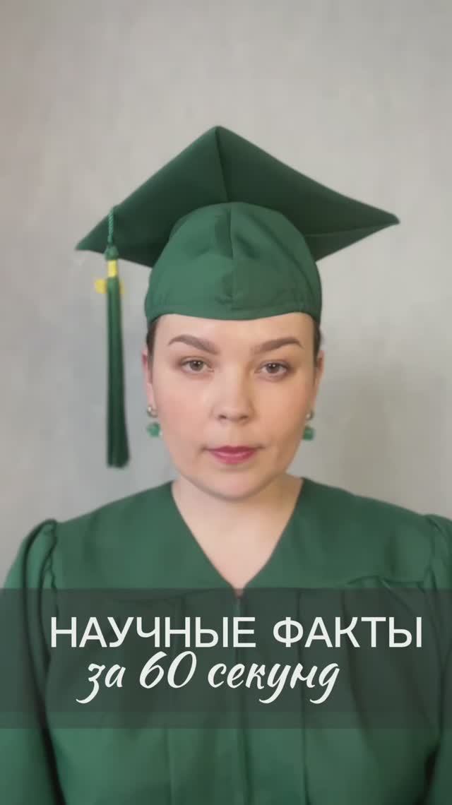 Один вдох и вы снова там