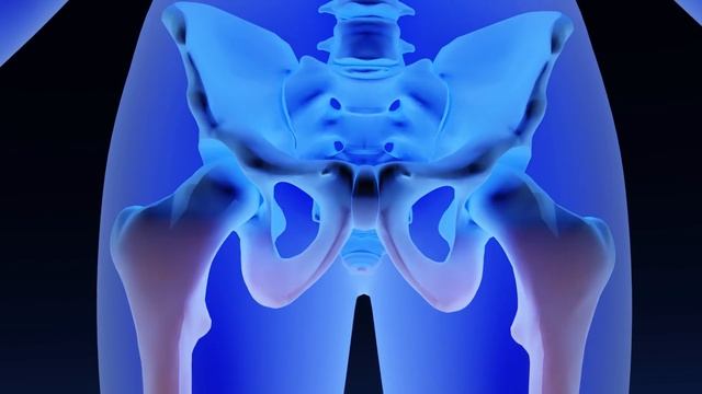 Сайт Гаряев-Матрицы.РФ АРХИВ CD Единственная Матрица Гаряева для Тазобедренного Сустава ☀️ Полное Во