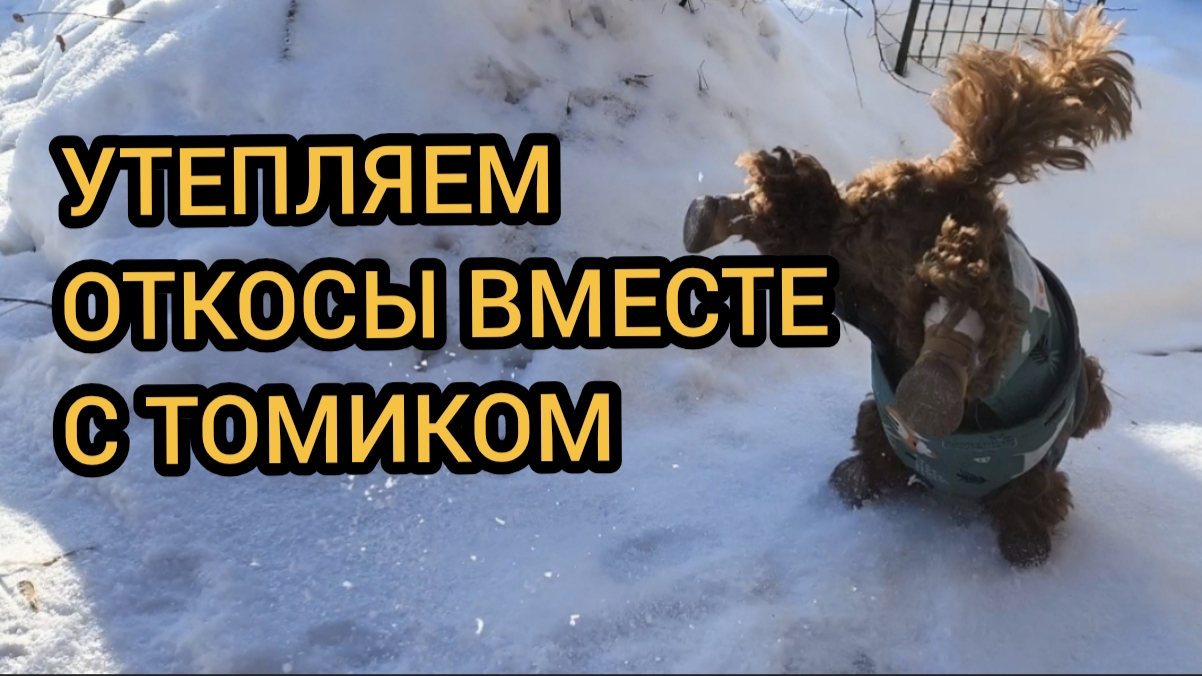 УТЕПЛЯЕМ ОТКОСЫ 24-25.01.2026