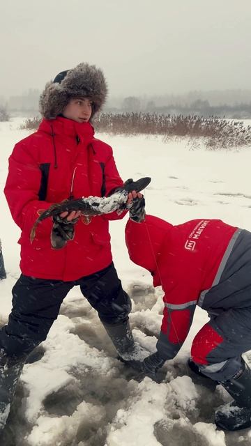 Рыбалка на щуку, жерлицы зимой.