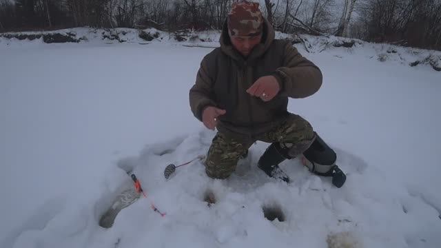 ЕСТЬ НАЛИМ, ЖАРЕХА БУДЕТ! ПРОВЕРЯЕМ СНАСТИ СПУСТЯ ДВА ДНЯ \ ДОНКИ, КОМБАЙНЫ НА РЕКЕ \ РЫБАЛКА 2024 !