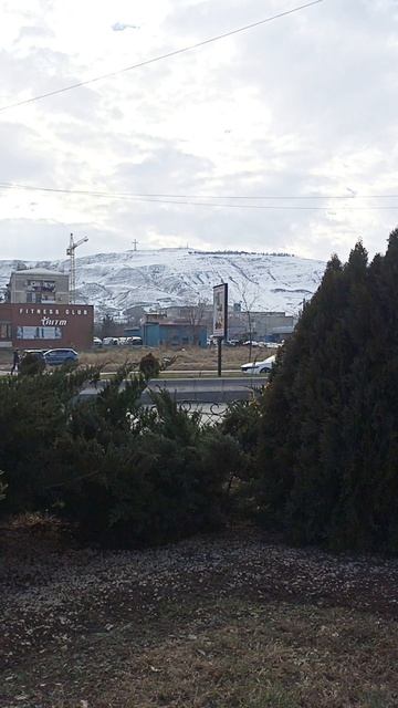 25 января 2026 года в Рустави (Грузия)