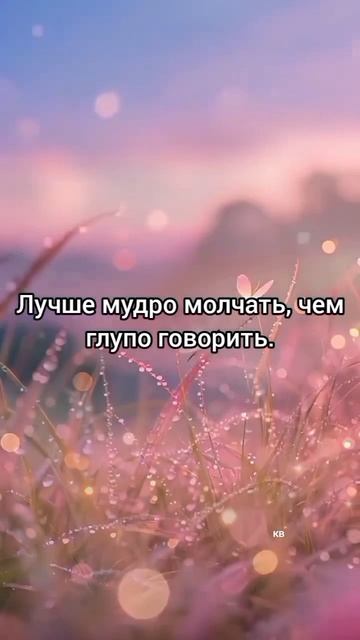 #мысли #цитаты #katyboro #рекомендации #топ #врек