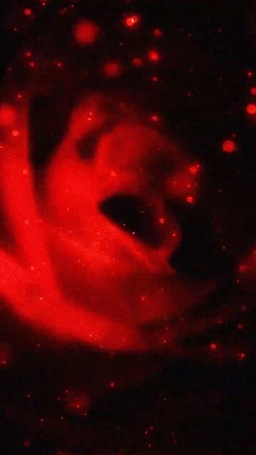 "я коснусь твоих пальцев небрежно..."