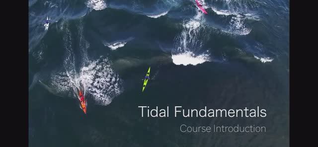 Введение.(Course Introduction)