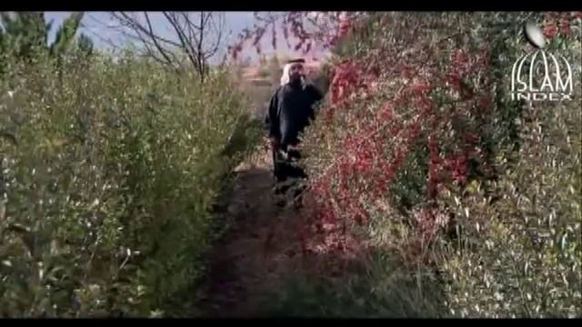 04. Имам Хусейн(мир ему) и его  почтенная родословная.