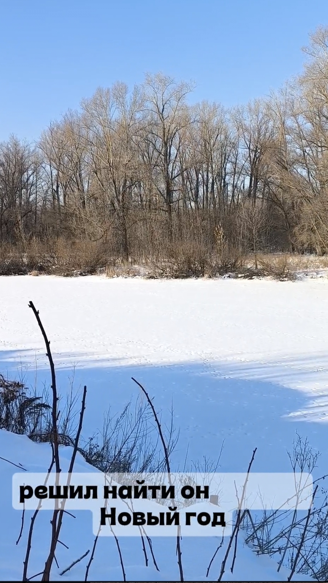 Решил Иван пойти в поход