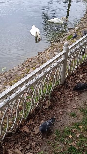 Самое вкусное на дне