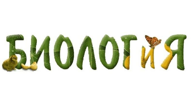 БИОЛОГИЯ.ВИРУСЫ