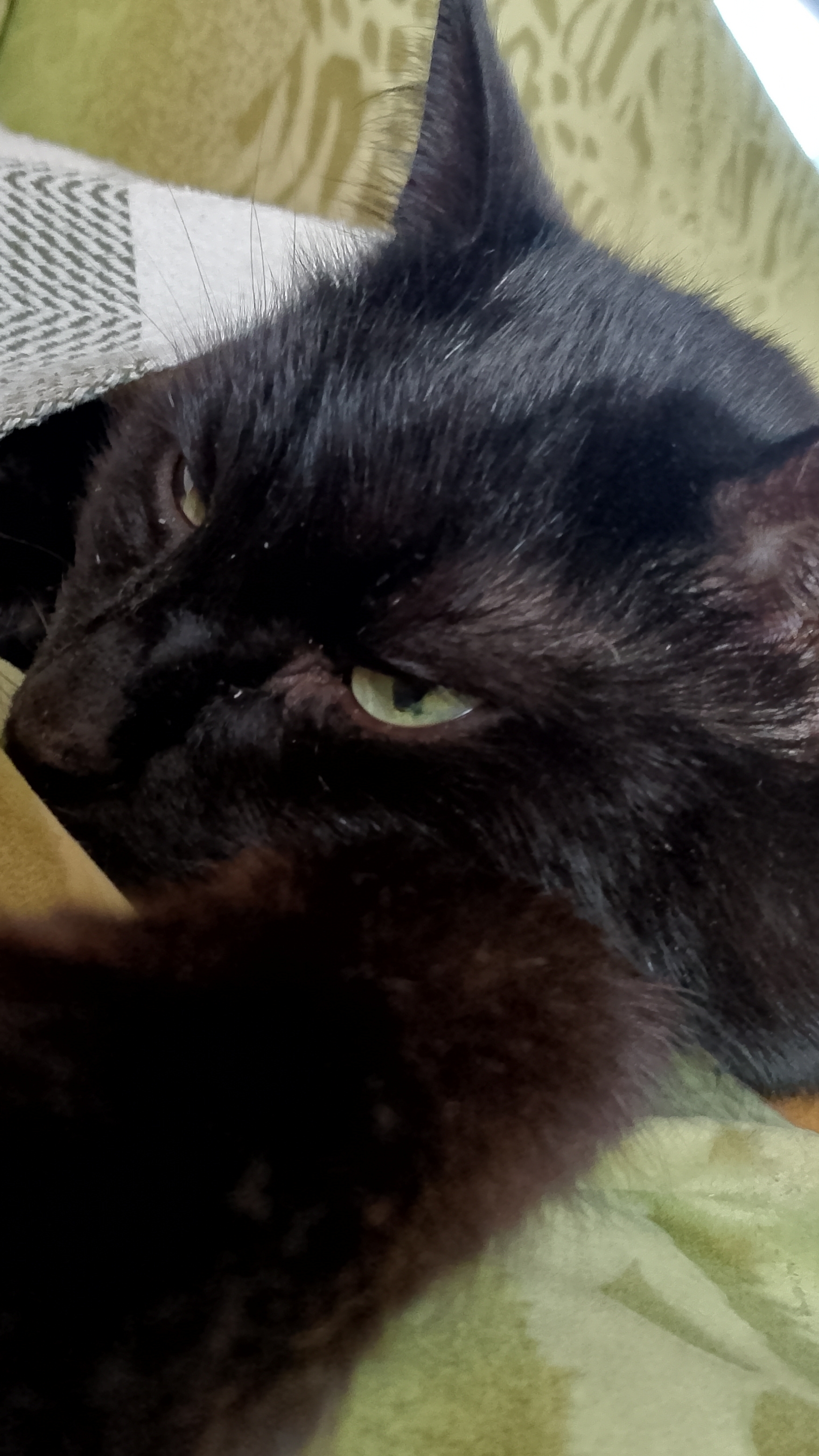 Полоса припяствей-часть 1-я