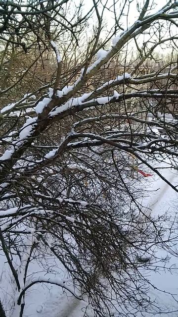 -14. Вечер 25 января 2026 года