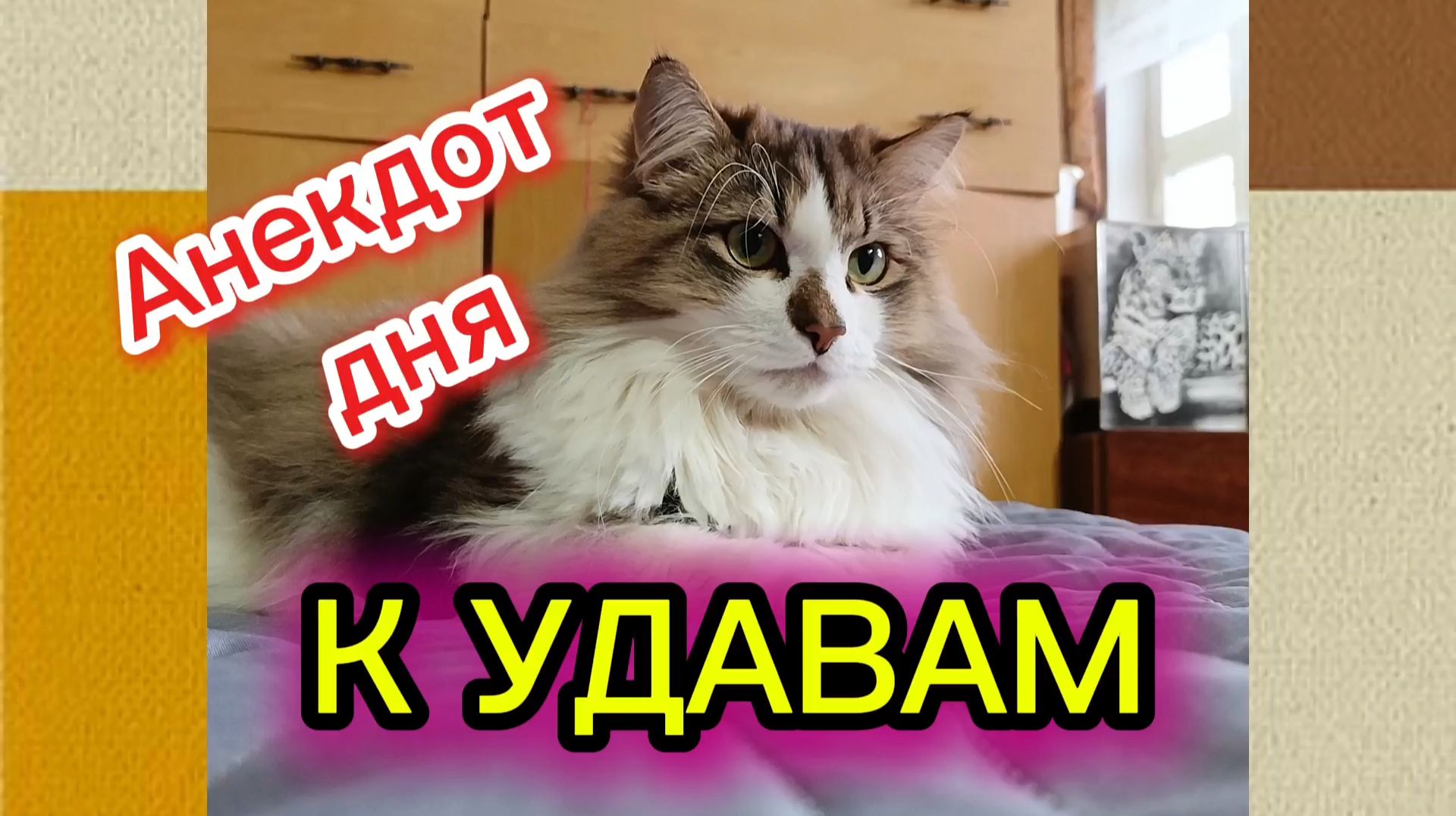 АНЕКДОТ ДНЯ. Кошки с озвучкой.