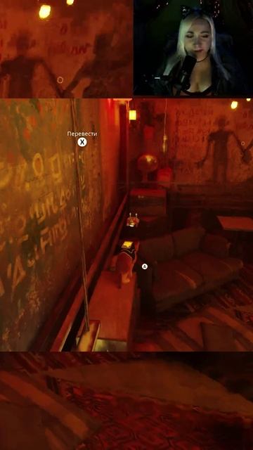 Погладь киску ( Stray )