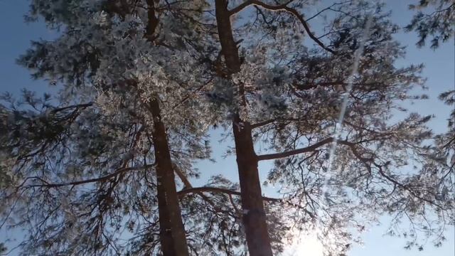 Волга минус 30 погодка класс