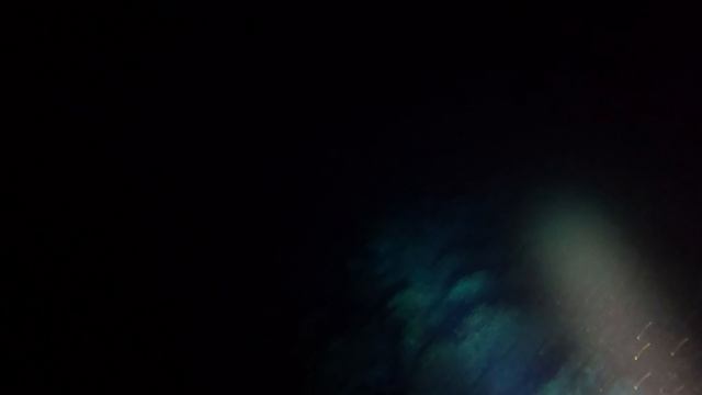 ночной дайвинг на Симиланских островах, акула, дайвинг в Таиланде