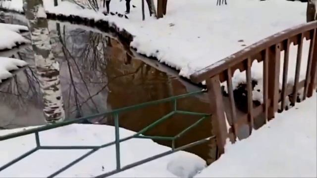 Зима Ирина Лазарева сл.Елена Благинина, С.Козлов, И.Демьянов Муз.И.Френкель Авт вид НРудакова