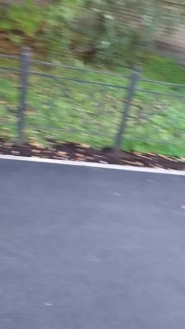 №821 ул. Красноармейская 1-я. 2 октября 2025 г., 18:26:18 VID_20251002_182558124