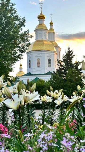 Душевный лекарь#Церковь#shortvideo#shorts#Молитва#Православие