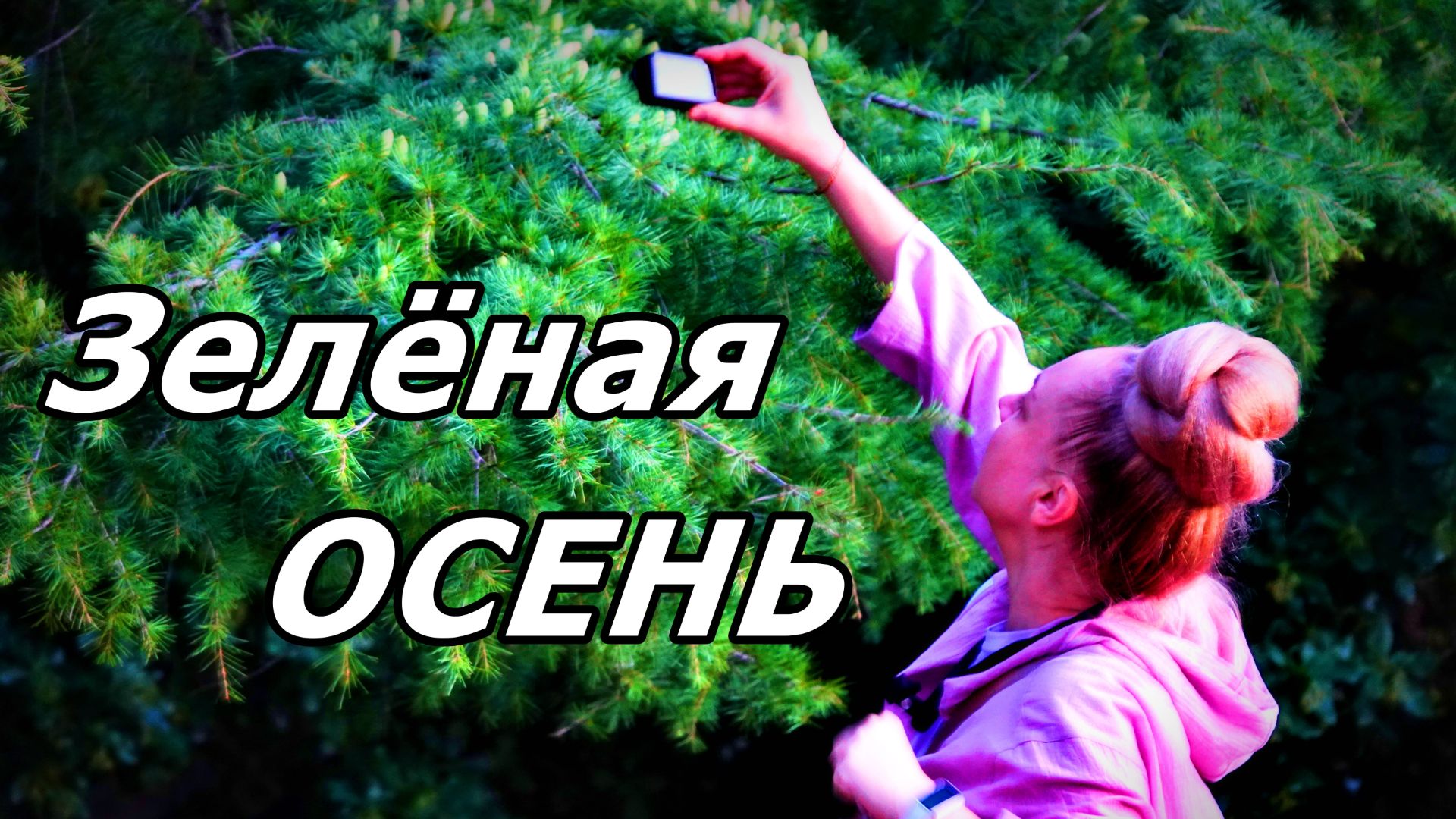 АДЛЕР НОЯБРЬ 2025: РОЗЫ ЦВЕТУТ, 🌴ПАЛЬМЫ МАШУТ, А СОСНЫ ДЕЛАЮТ ВИД, ЧТО СЕЙЧАС ЛЕТО).