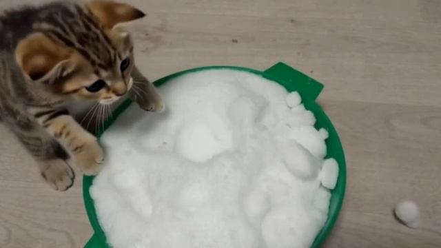 ИИнтересное видео