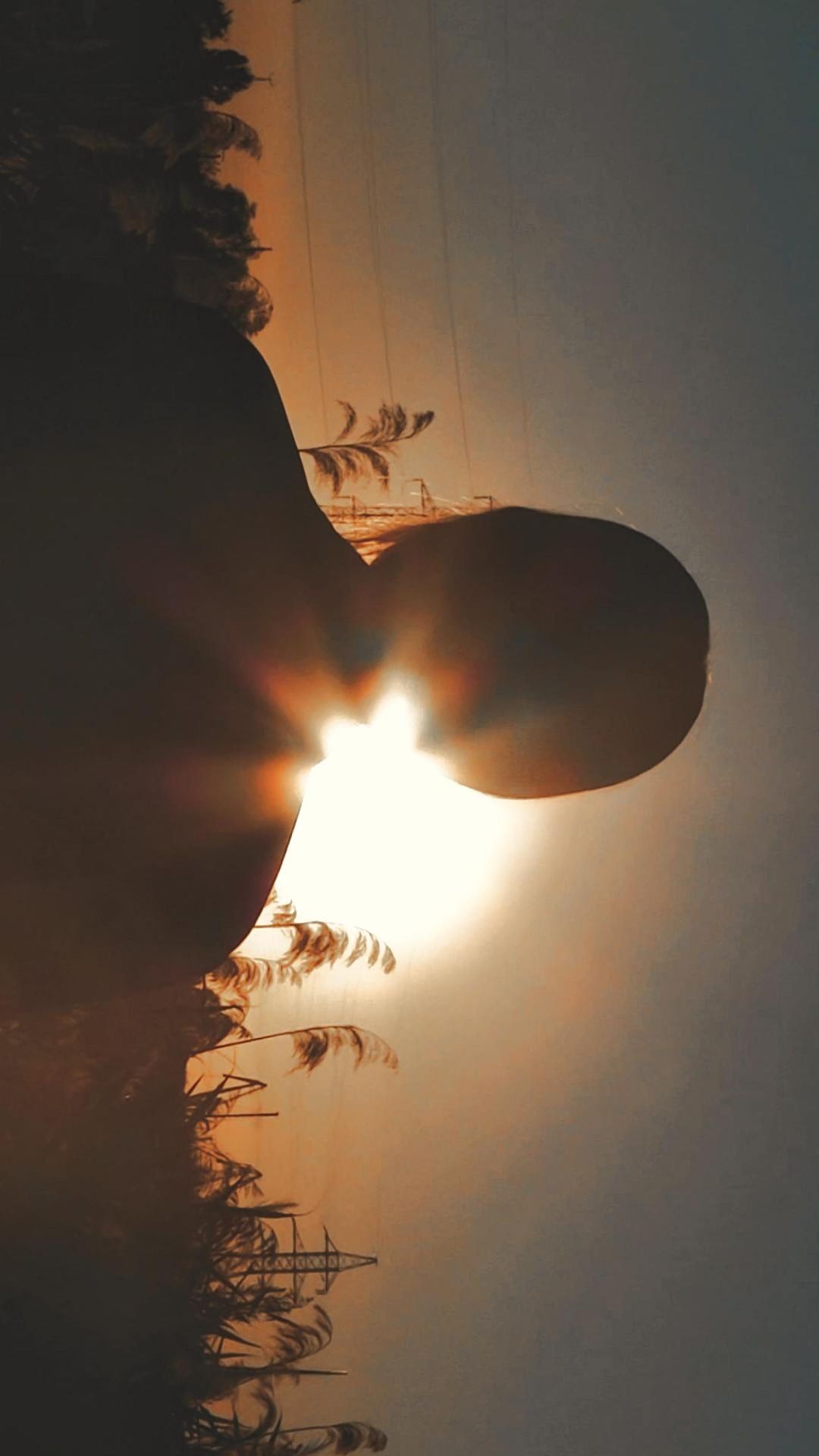 Сон — Дарья Виардо