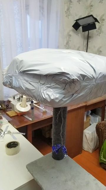 Продолжаем работать 26 января 2026 г.