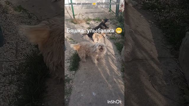 Животные.Сборник интересных моментов из жизни животных.Фильм8.Серия2