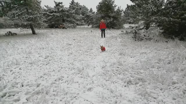 Крымская зима. Высока в горах