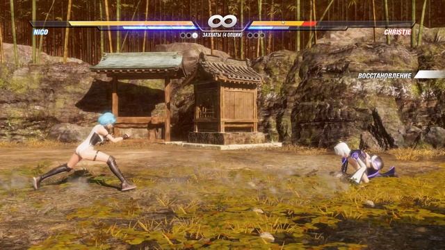 DOA6 2026.01.23 - 03.08.44.09