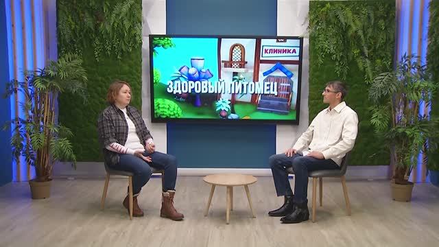 Здоровый питомец, 26.01.2026