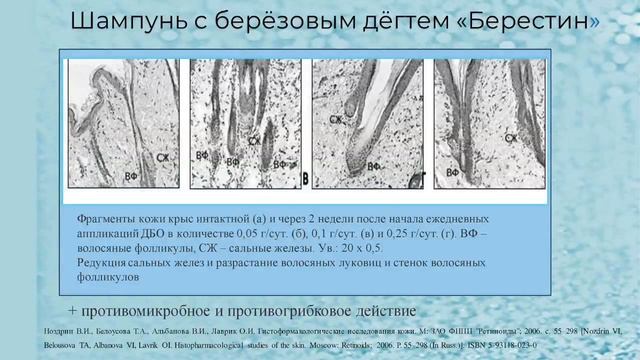 Телемост на тему: «Лечение псориаза, проверенное временем»