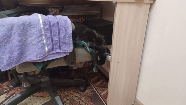 Кролик Маркс -  работник месяца