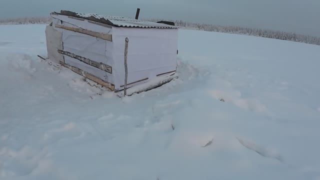 ГУСИНЫЙ Скрадок на болоте. Караулка на гуся. Второй день работы.