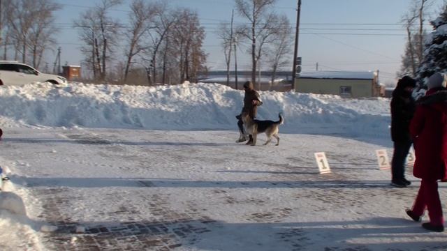 HDV_5794пром квинт