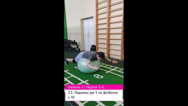 2.3. Подъемы рук Y на фитболле
