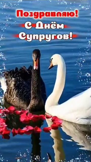Поздравляю с Днём Супругов!