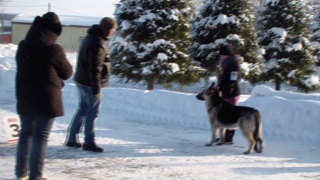 HDV_5795пром гарант успеха