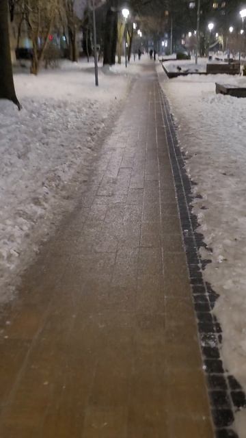 Гололёд в Калининграде