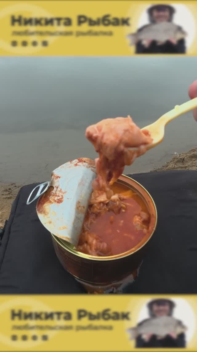 Что я беру поесть на фидерную рыбалку?