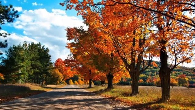 Памяти страницы_ музыка и исполнение_Олег Сапегин,слова_ Татьяна Зуева,Олег Сапегин