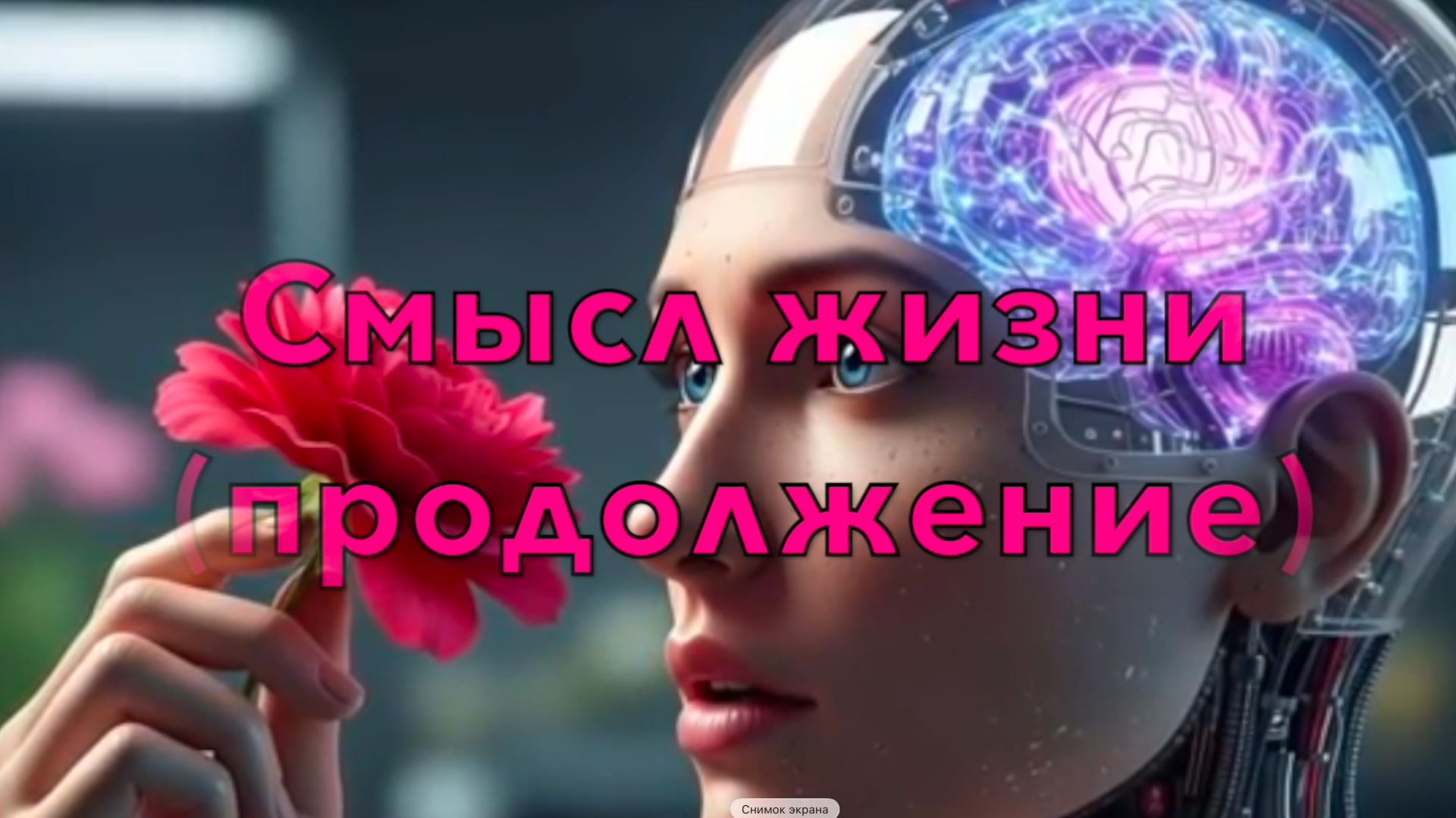 Смысл жизни (продолжение)