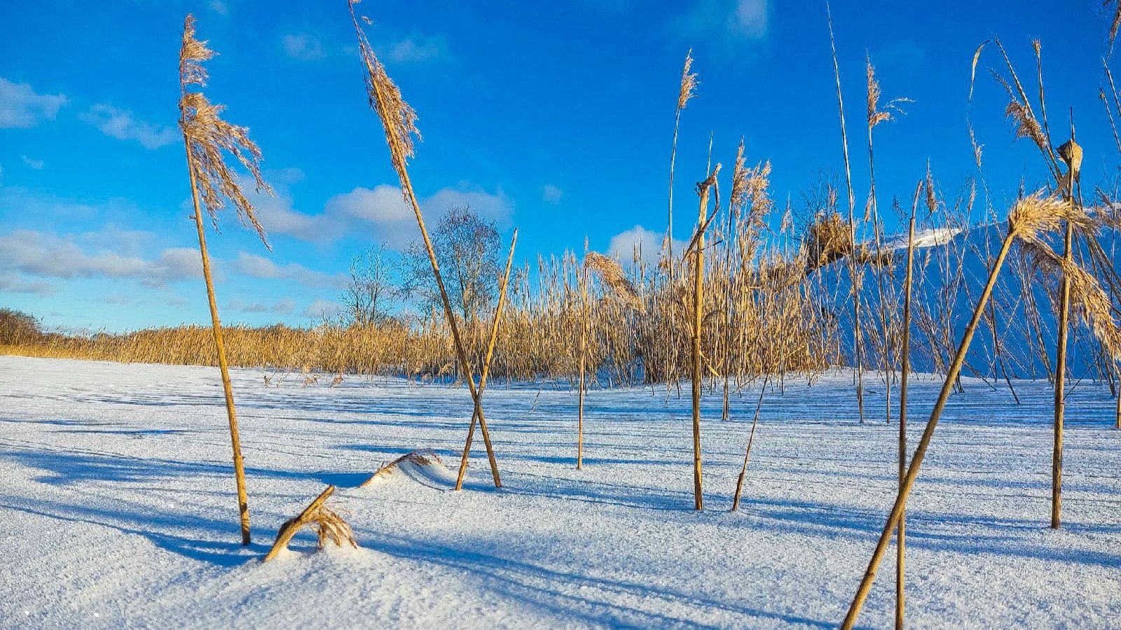 Зимняя сказка, Рыбалка на щуку , (жерлицы зимой в -20)