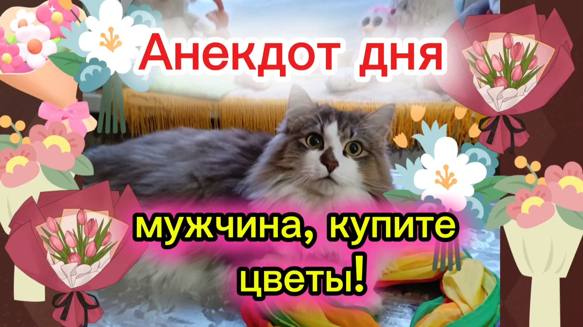 СМЕХ ДО СЛЁЗ. Анекдот дня.