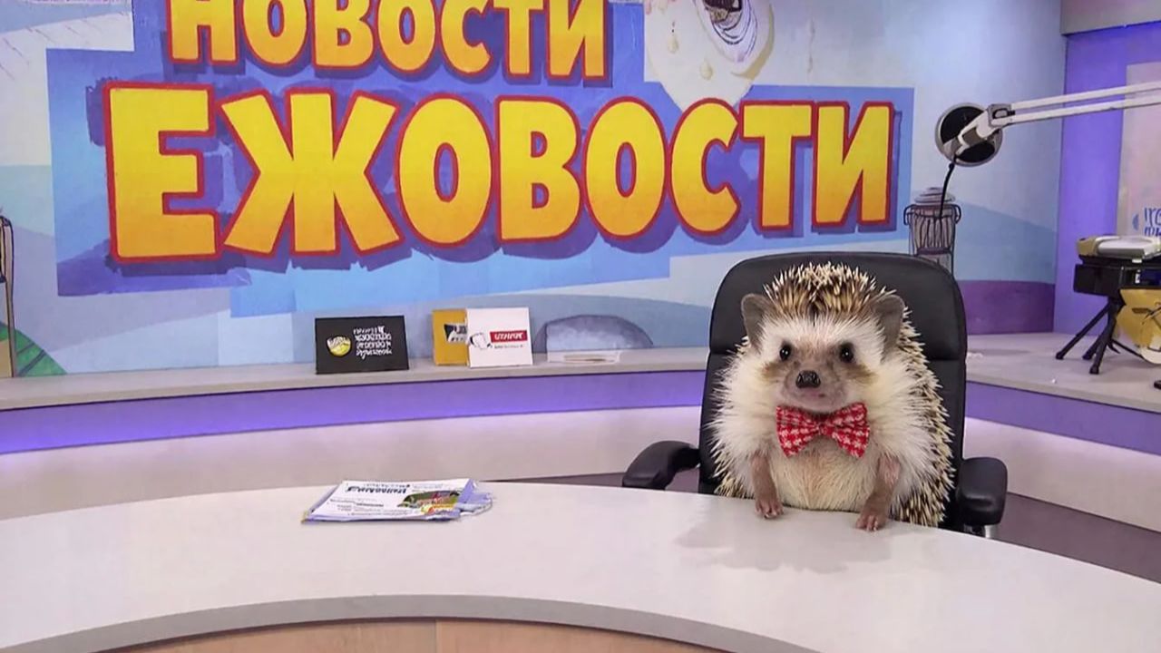 Новости Ежовости №6. Сезон 3