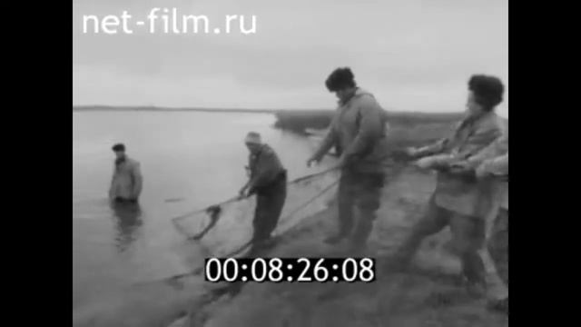 1985г. с. Квасниковка колхоз Путь рыбака Энгельсский  район Саратовская обл